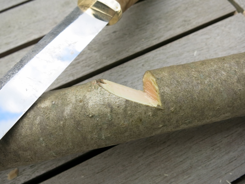 AD Blog - bushcraft per passione: Try Stick: un metodo semplice ed ...