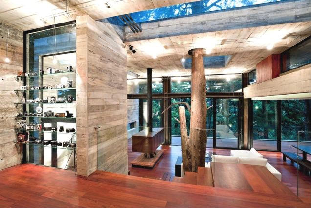 The elegant natural beauty of trees built into living s