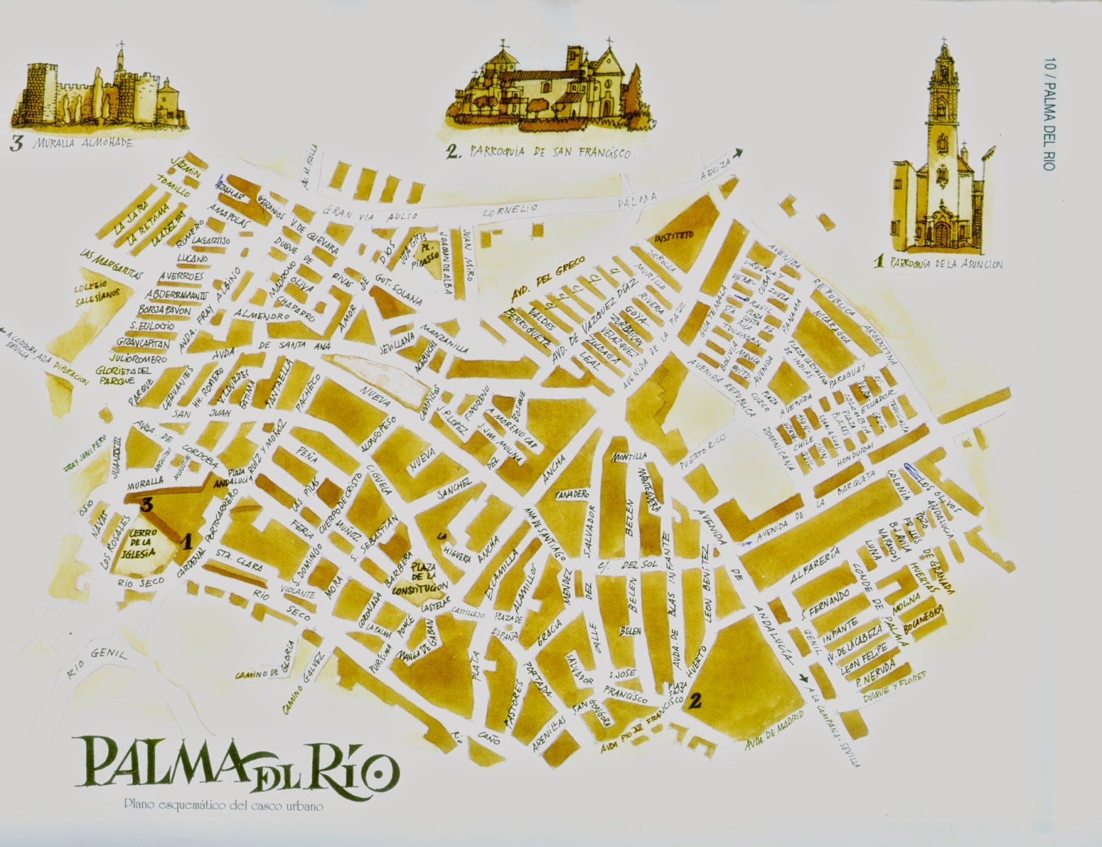 Naranjas de Palma del Río: Palma del Río: mi ciudad en fotos