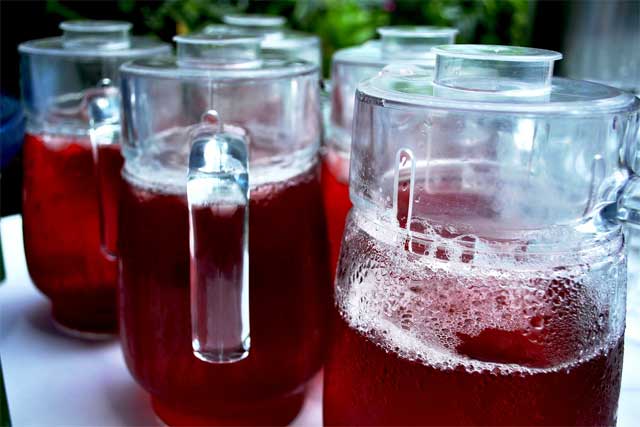 DUMBPEOPLE: Gastronomía Guatemalteca