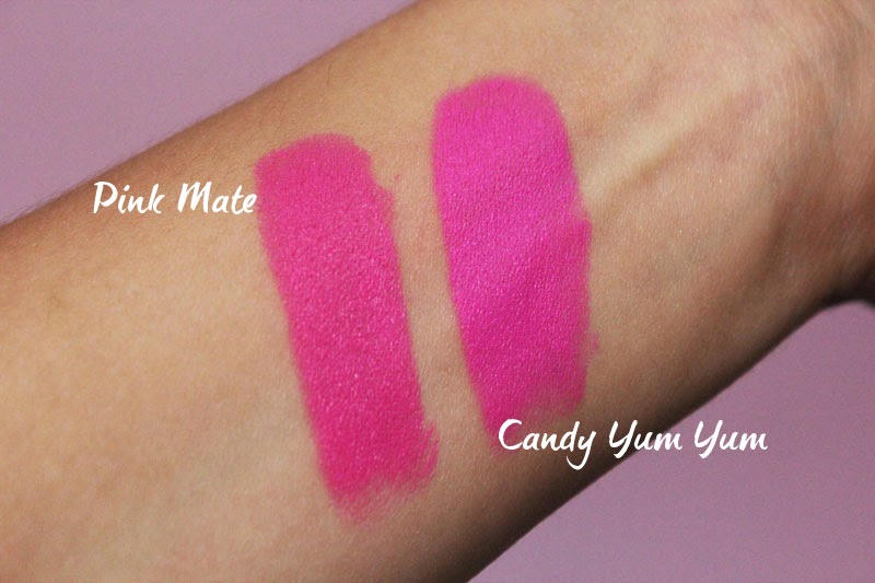 Batom Pink Mate | Contém 1g | [ biancadilima ]