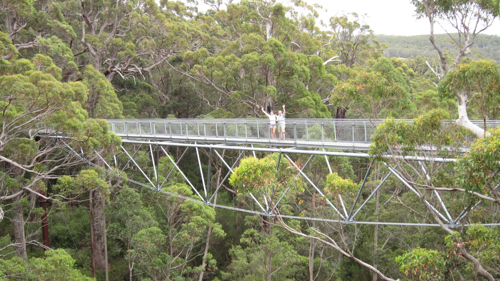 Plan A: #89: Tree Top Walk!