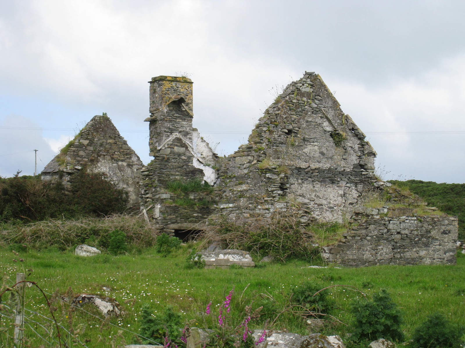 Abbastanza Buono - Living in Italy: Sherkin Island
