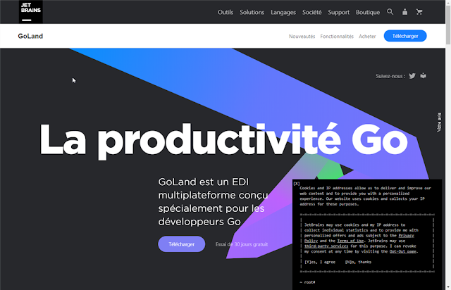 Outils de Développement Logiciel: C'est quoi le langage Go