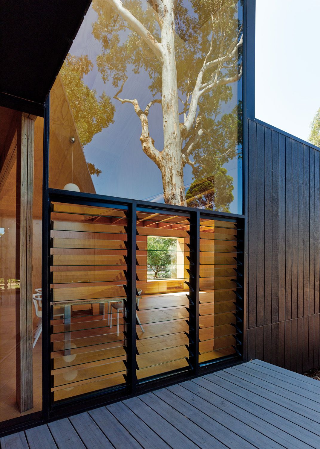 MORQ – a f a s i a