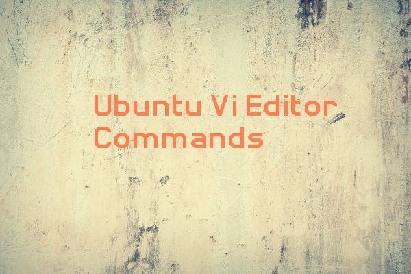 Ubuntu Text Editor Virtpr