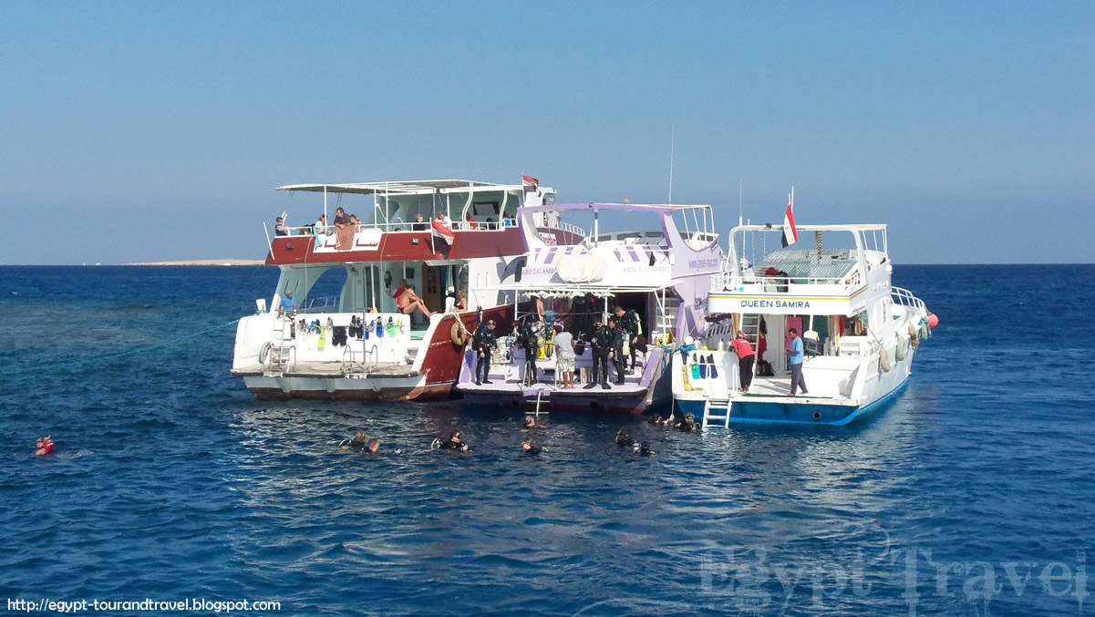 Snorkelling and Scuba Diving in Egypt - The Globe Trotter