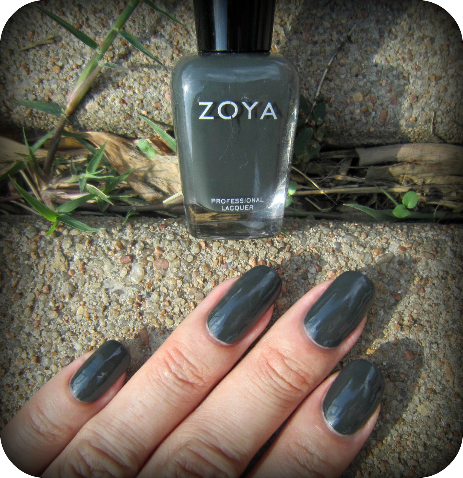 Zoya Noot