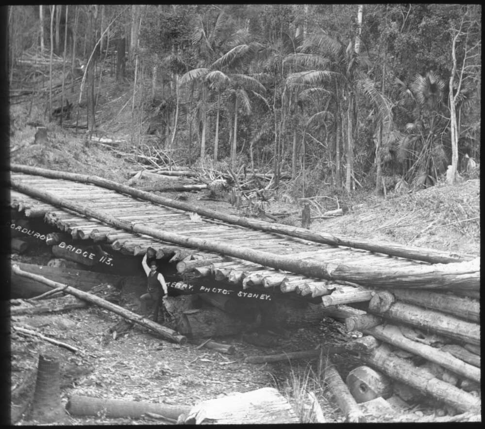 Barwon Blog: Making tracks - to Corduroy Bridge