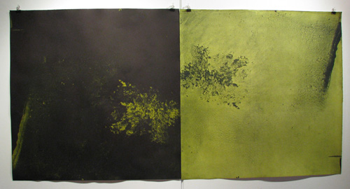 Printmaking Art + Aine Scannell's Blog: Etching Linoleum with Caustic Soda