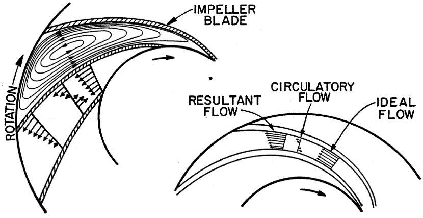 FLUID MECHANICS : THEORETICAL HEAD DEVELOPED BY AN IMPELLER