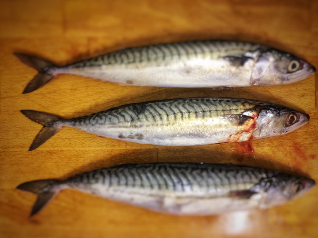 Through the Gaps! - Newlyn Fishing News: Tom Bocart fish supper 2017 ...