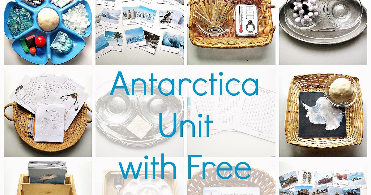 Antarctica Unit w/ Free Printables - Every Star Is Different