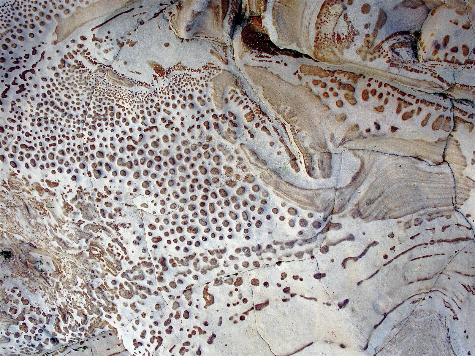 Travel Inspired Fine Art Photography: Rocks With Spots!