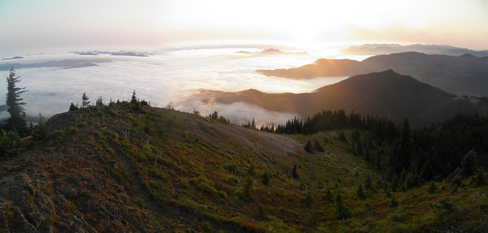 PacificNWCompanion: Kelly Butte Trail and Lookout Tower
