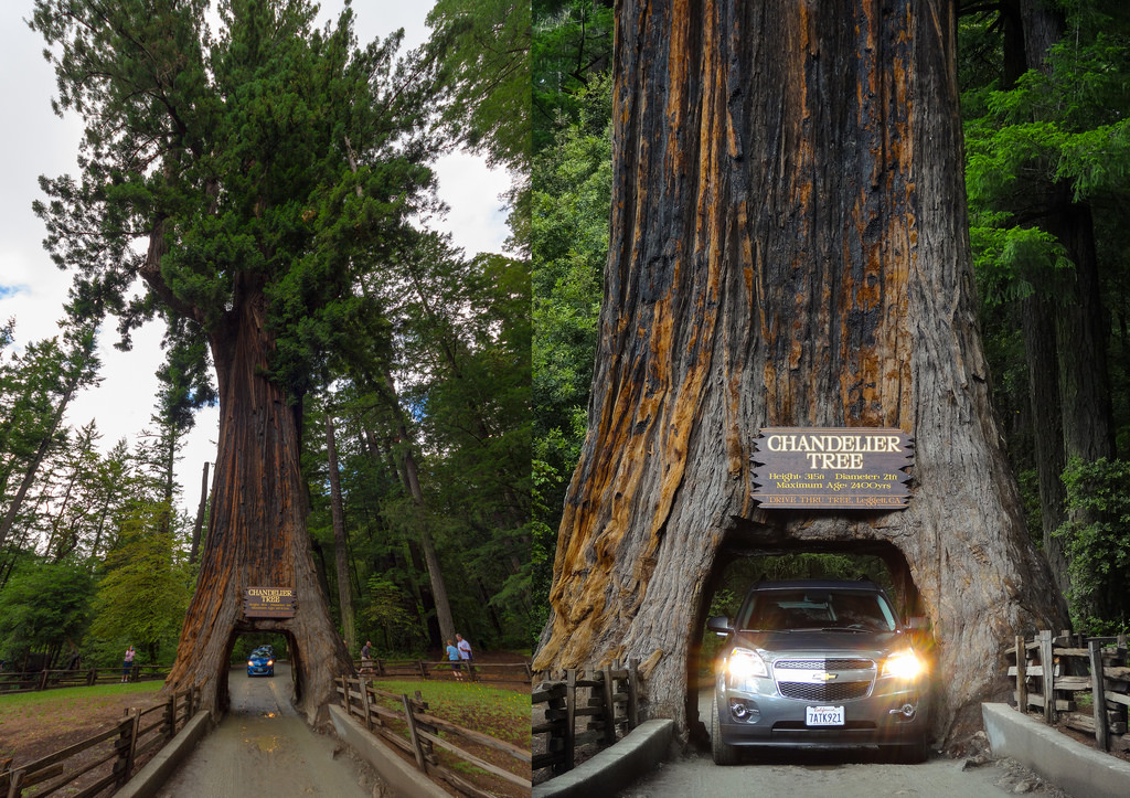 ARQUIVOS DE UM REPÓRTER: AR- "OUSADIA DA NATUREZA"