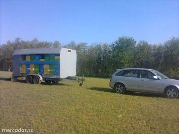 PRISACA DIN IASI: pavilioane apicole diverse modele