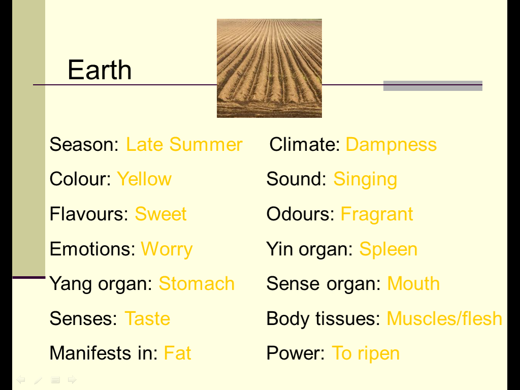 Hertfordshire Tai Chi: Resources: Five Element Associations