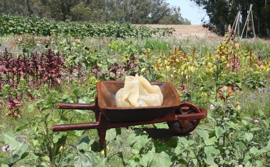 The Colors Of Indian Cooking: There's A New Momo In Town. Fast, Easy ...