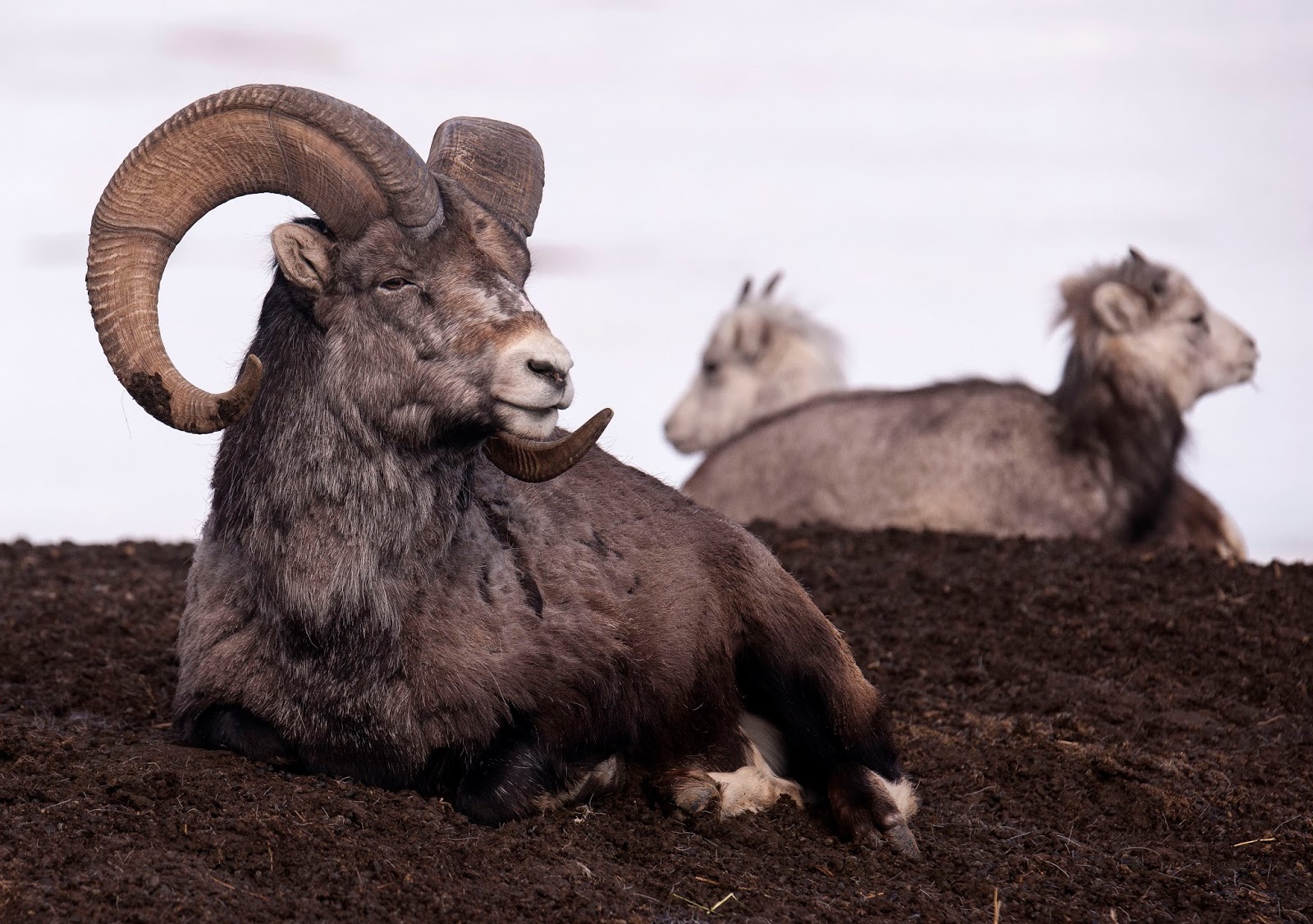 Northof49Photography: June 2015