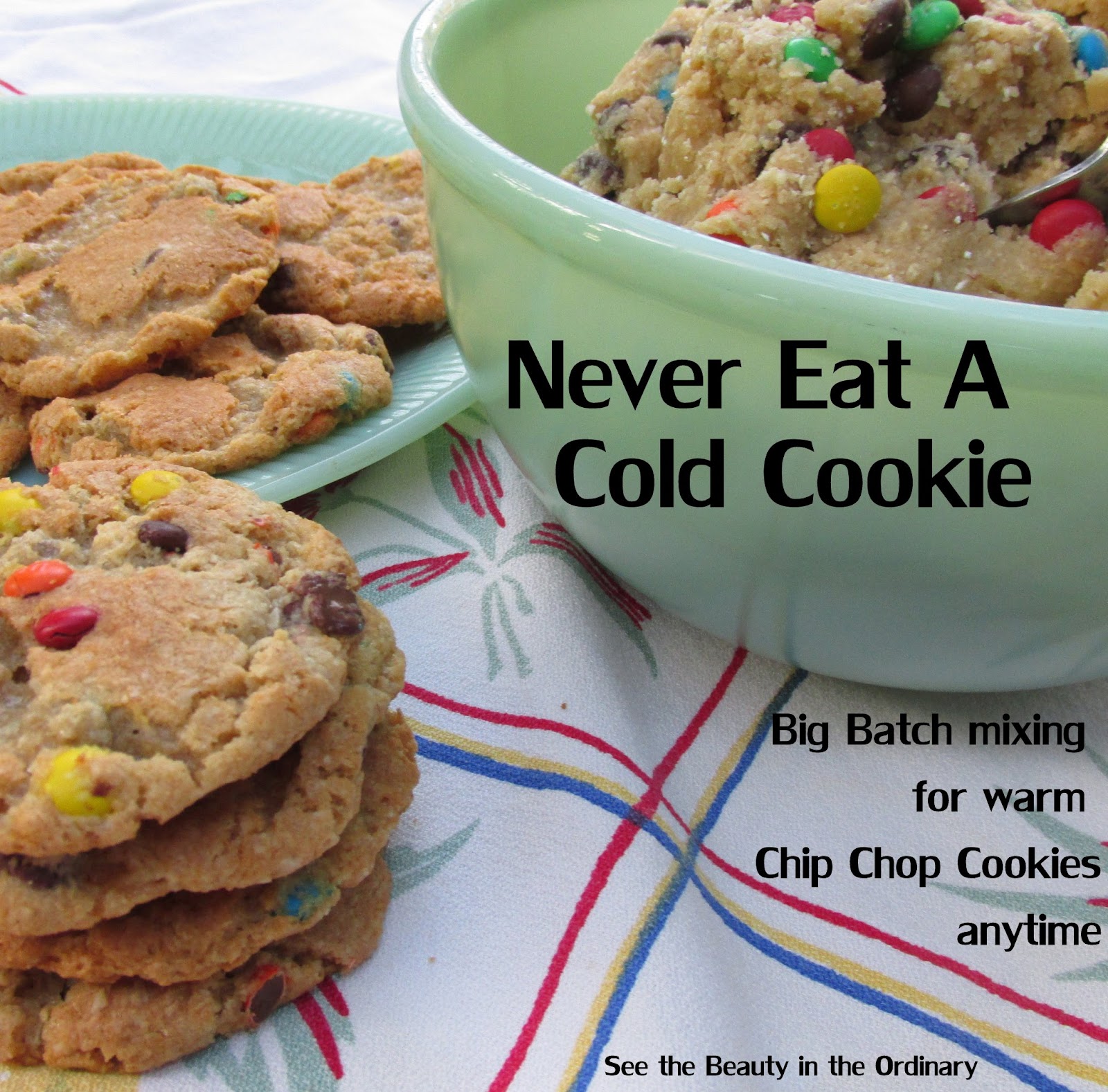 See the Beauty in the Ordinary: Never Eat a Cold Cookie: Big Batch ...