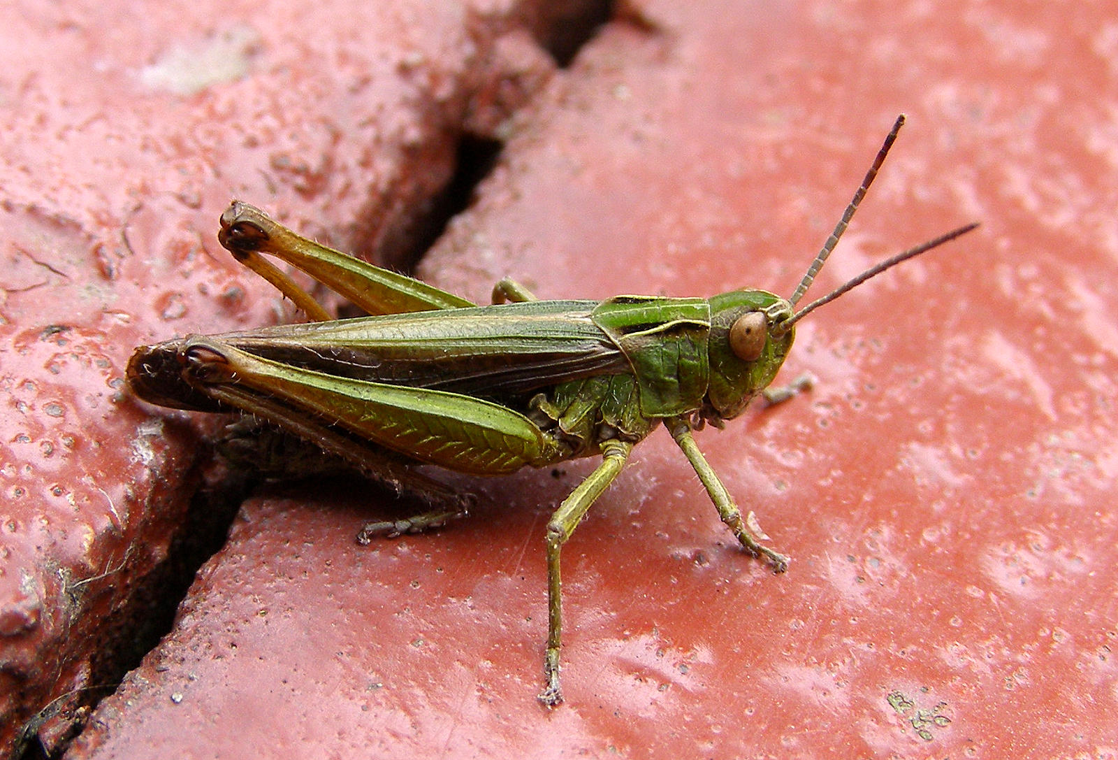 Random Jottings: August 2012