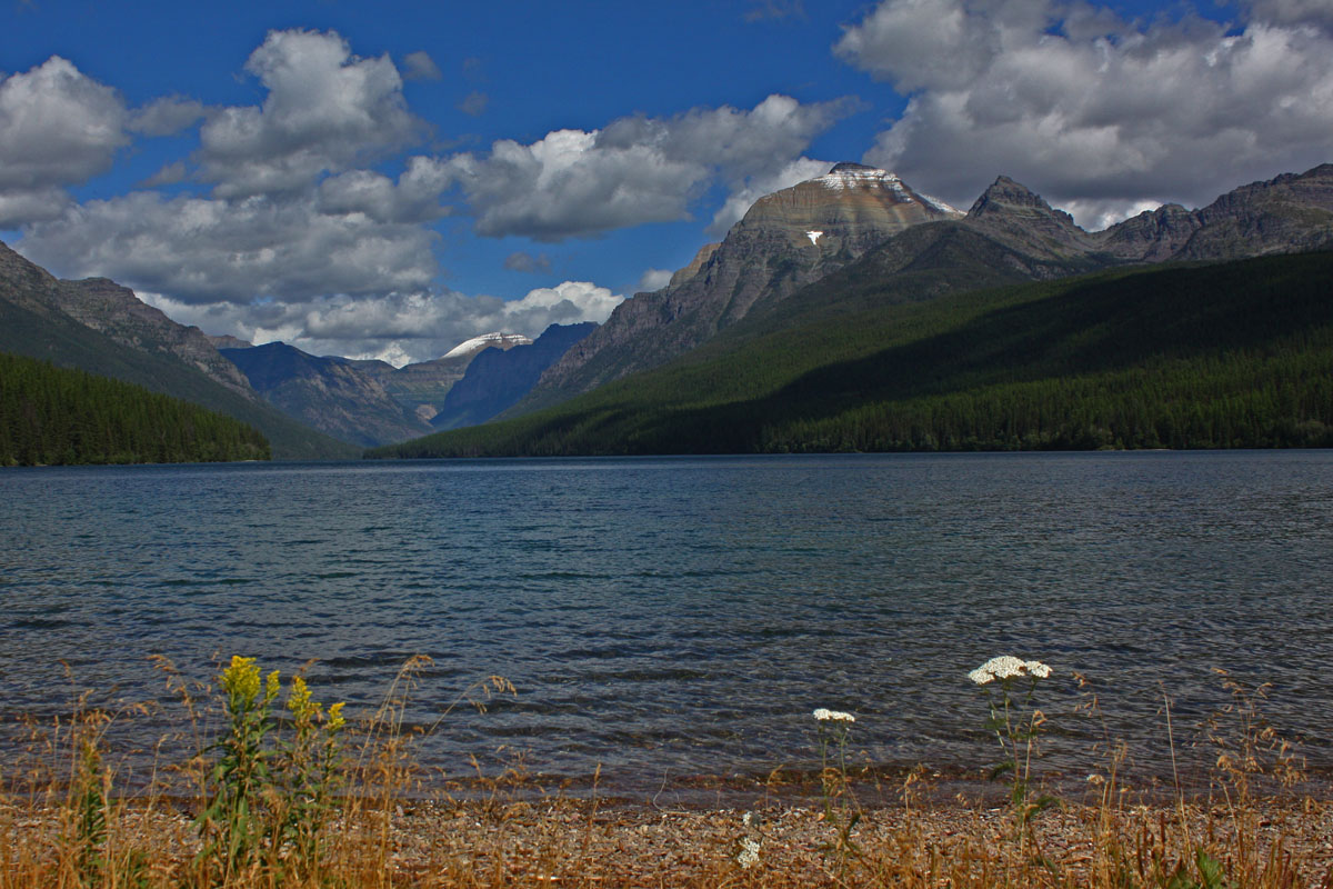 The Adventures of Bushwhack Jack