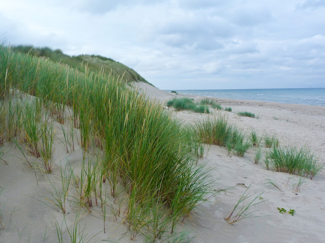 Skagen - Where Two Seas Collide |Blissful Solitary Wanderings
