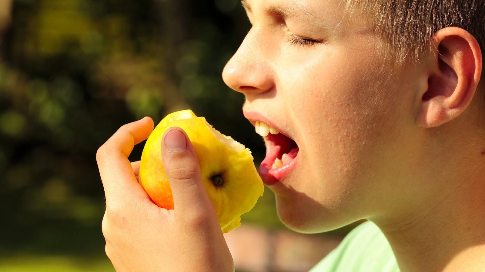 Principales Sistemas Sensoriales: Déficits y trastornos más comunes ...