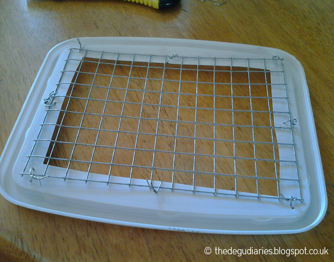 How to Make a Fresh Herb Degu Eatery