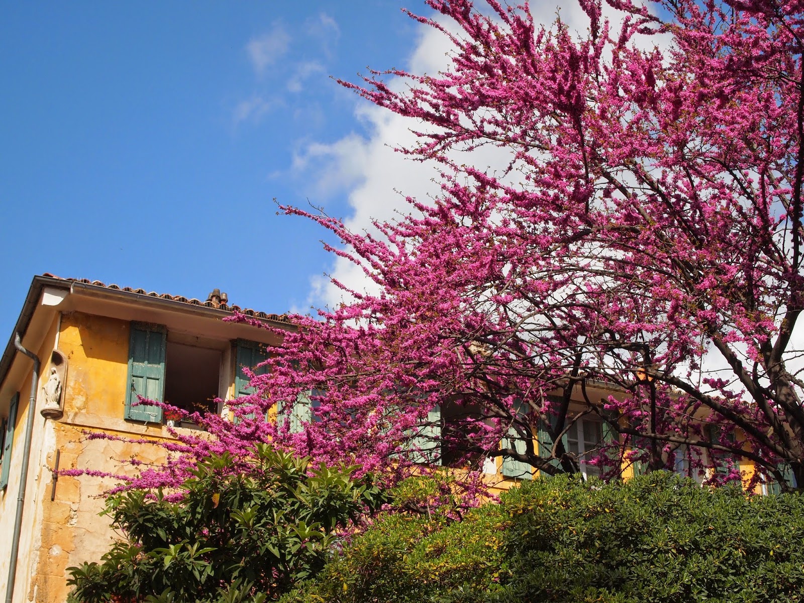 Like STORM, but with a U: Trip to Southern France - Aix-en-Provence