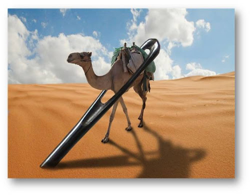 Pathlight Studies: The Camel And The Needle