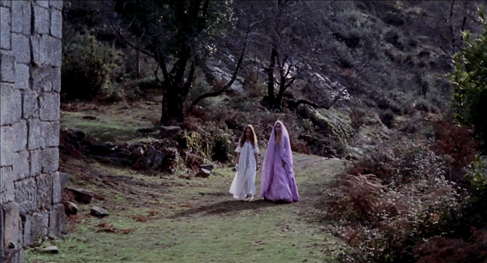 Blood Spattered Bride 1972 (Facts, Review of Vicente Aranda's Film ...