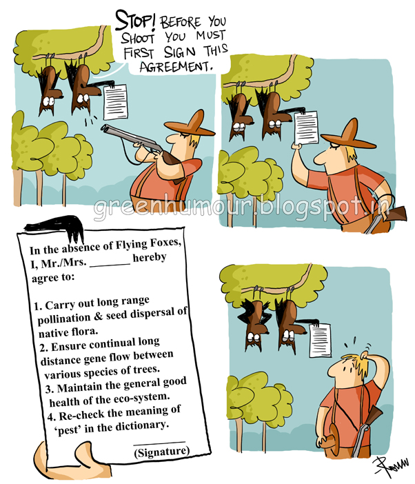 Green Humour: Queensland's Flying Foxes