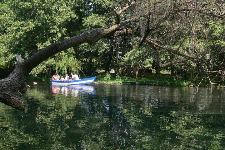 Drilon Pogradec ~ Entertainment-Enter