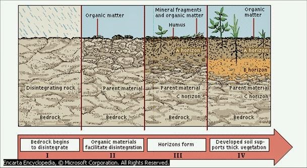 Ride SOIL GEOGRAPHY : PROSES-PROSES PEMBENTUKAN TANAH