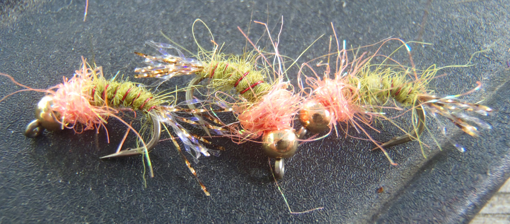 Rainwater's Creekside Ramblings: PINK SQUIRREL