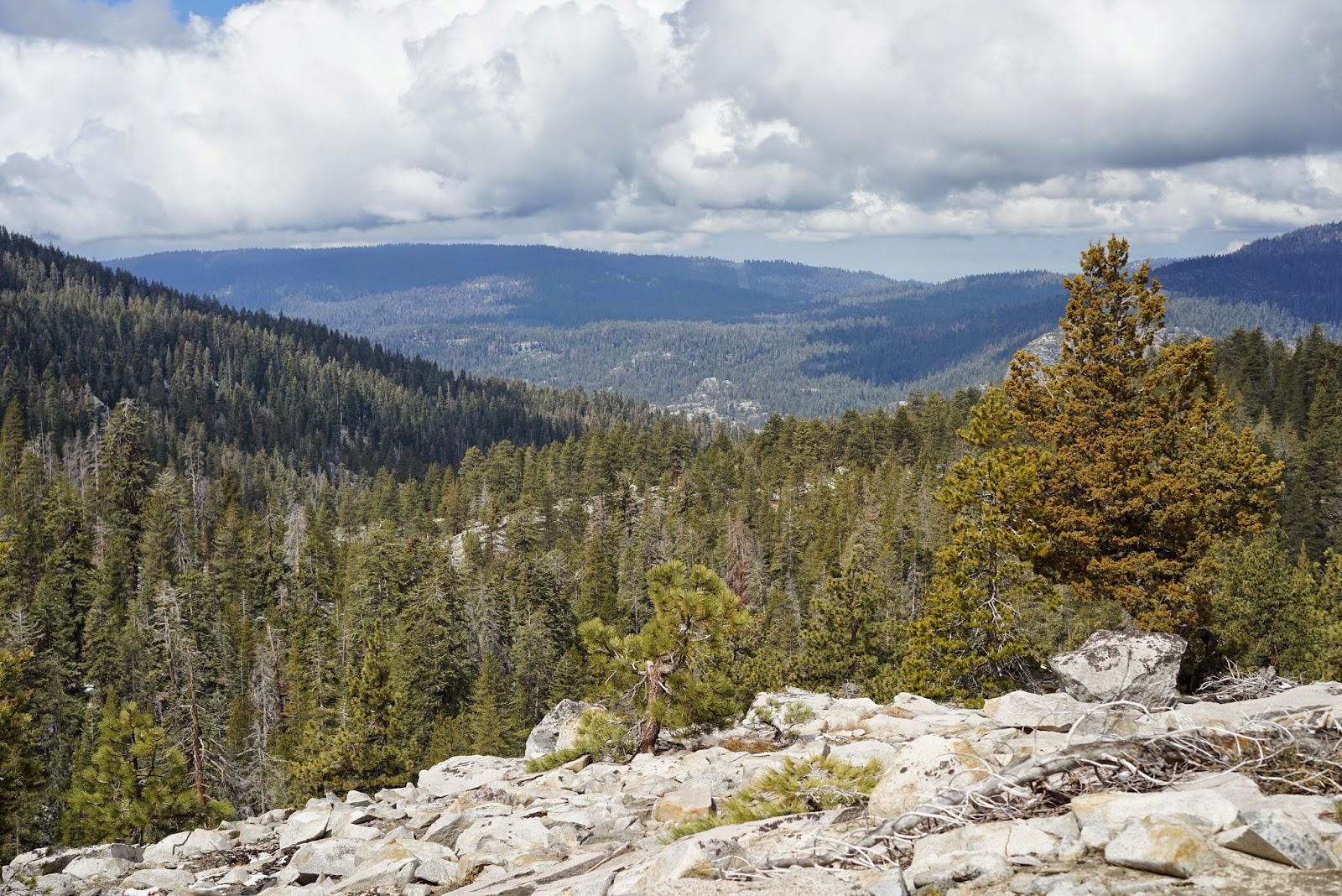 Mid Sierra Musings: Hiking The Woodchuck Trail Out Of Wishon Reservoir