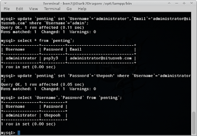 Master of SQLi: MySQL Command Line