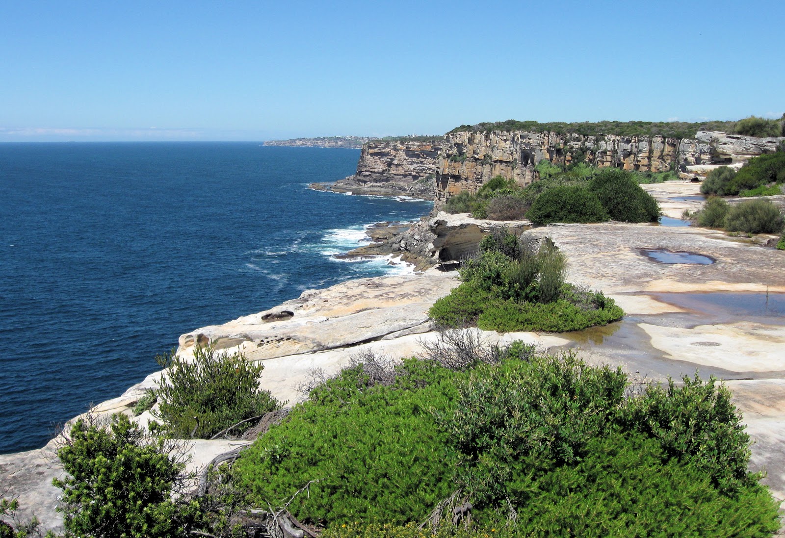 North Head to Shelly Beach | Our Walks