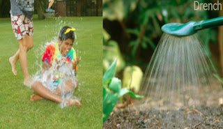 Learn Different Types of Wets Name with Necessary Vocabulary ...