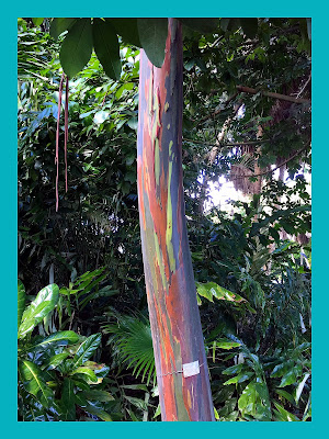 TravelZWorld : Colors of South Florida