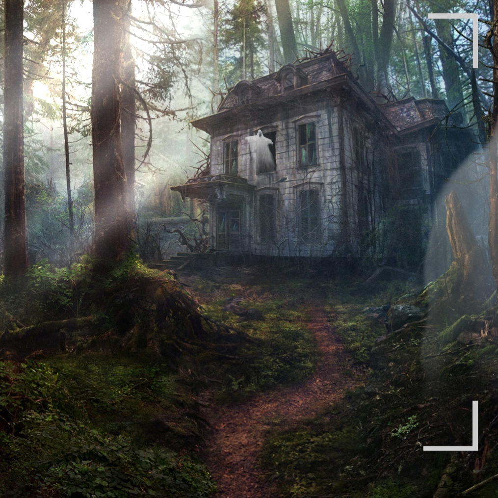 horror Forest live wallpaper free download - wallpaper engine