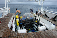 Dive Flag App Travels, Shop & Product Reviews: The DeepSee Submersible ...