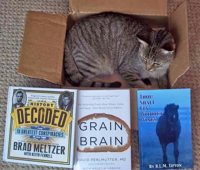 Peevish Pen: History Decoded