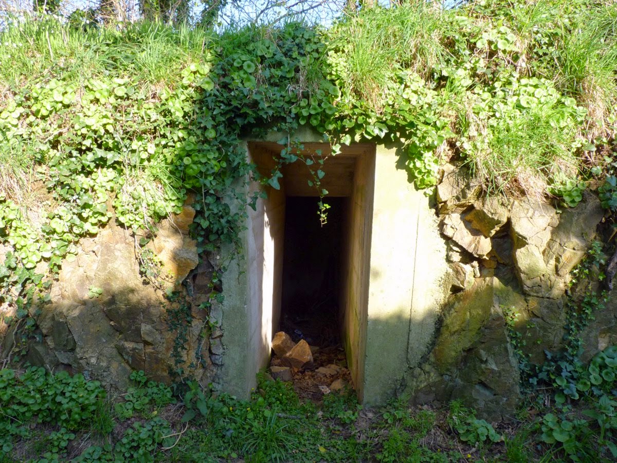 crapaudmatic: Bunker Hunting - Resistance Nest Höhe 313