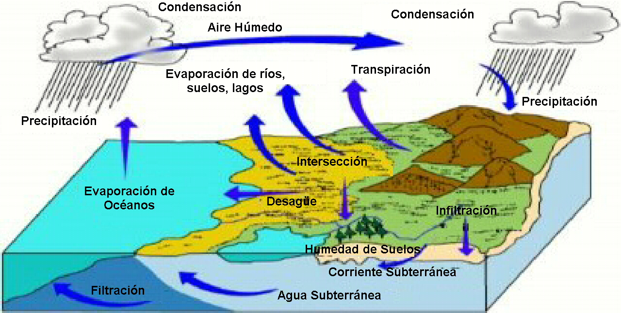 Hidrogeologia: El agua y los pozos de agua: Ciclo Hidrológico