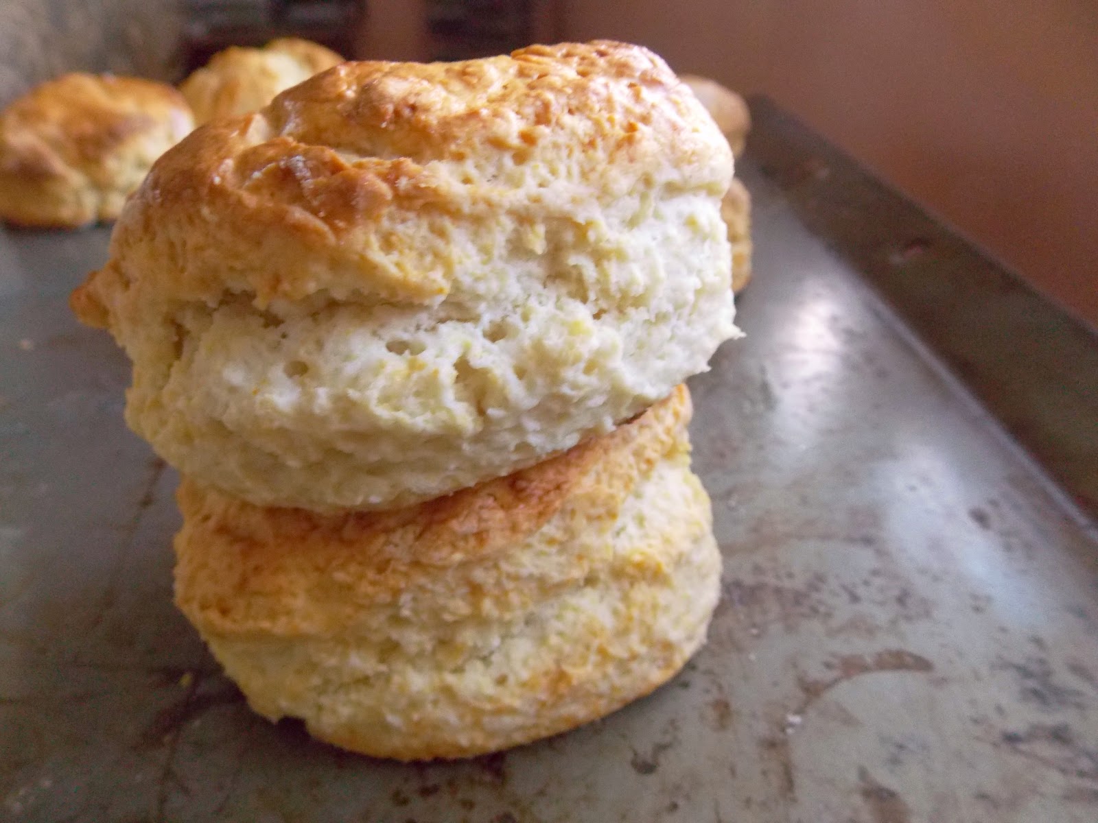 Food and Thrift: Lottie Greer's Country Biscuits