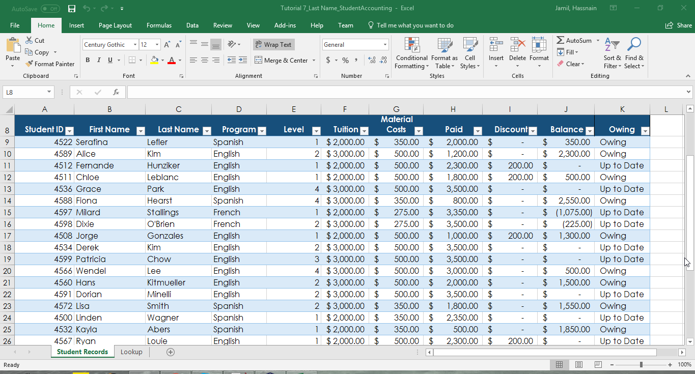 Mountainview Language School - Students Payment Analysis Excel Project ...