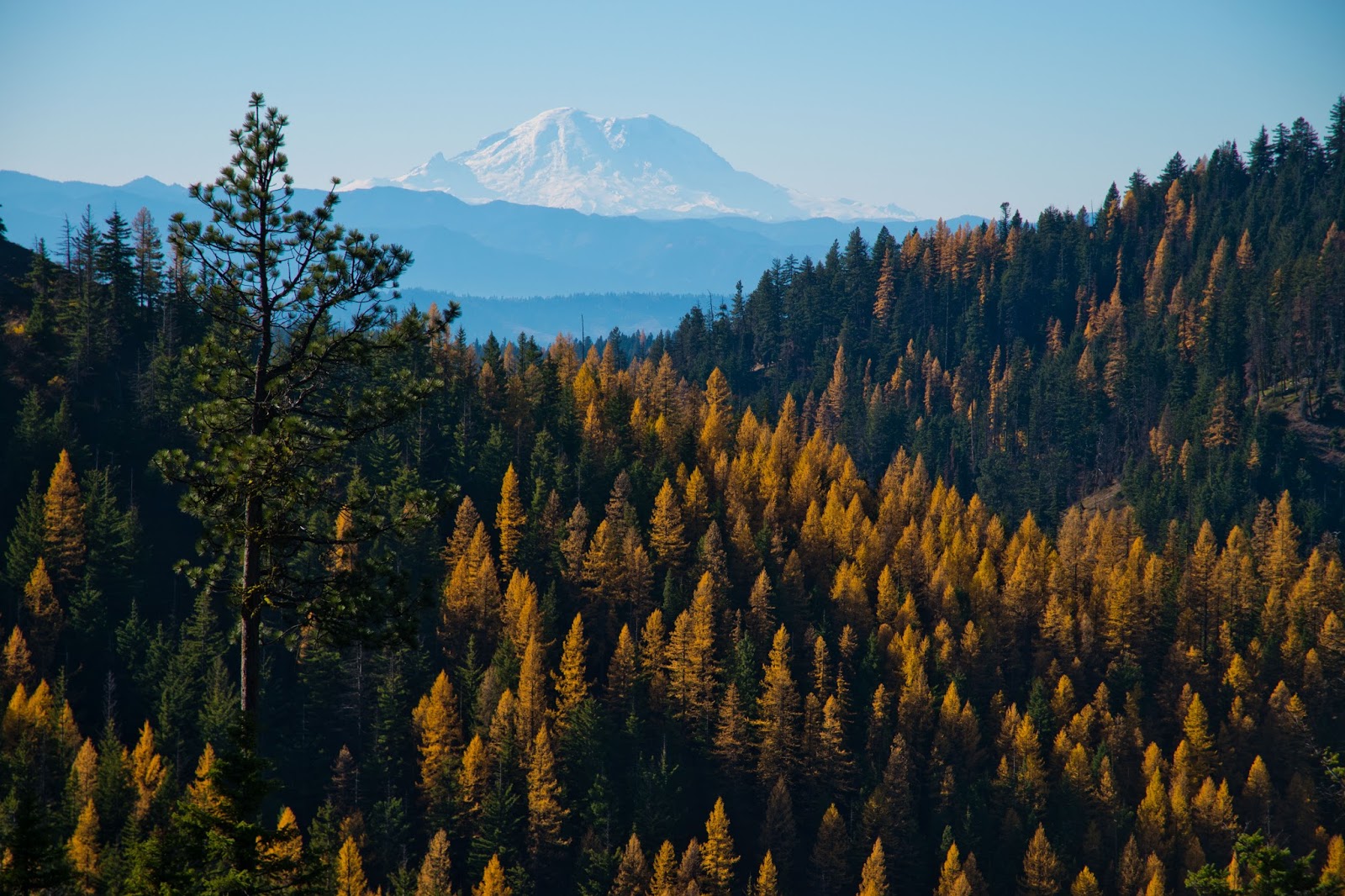 Hiking Shenandoah: Iron Bear